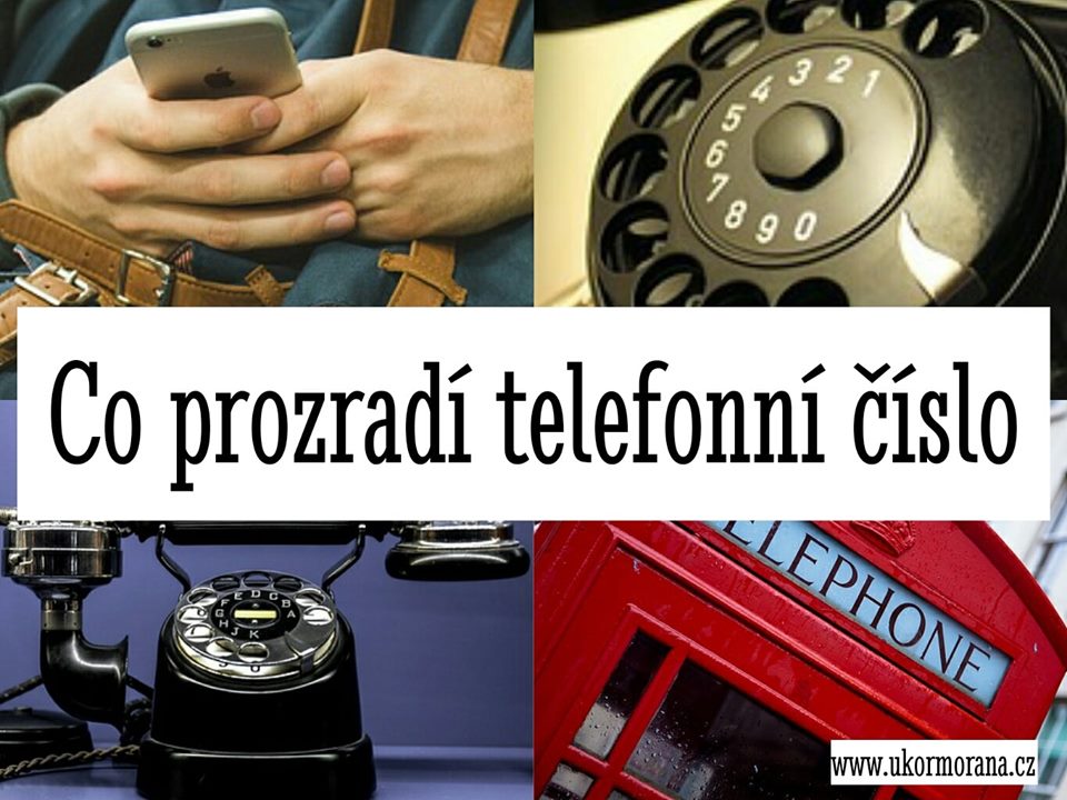 Co prozradí telefonní číslo - U KORMORÁNA